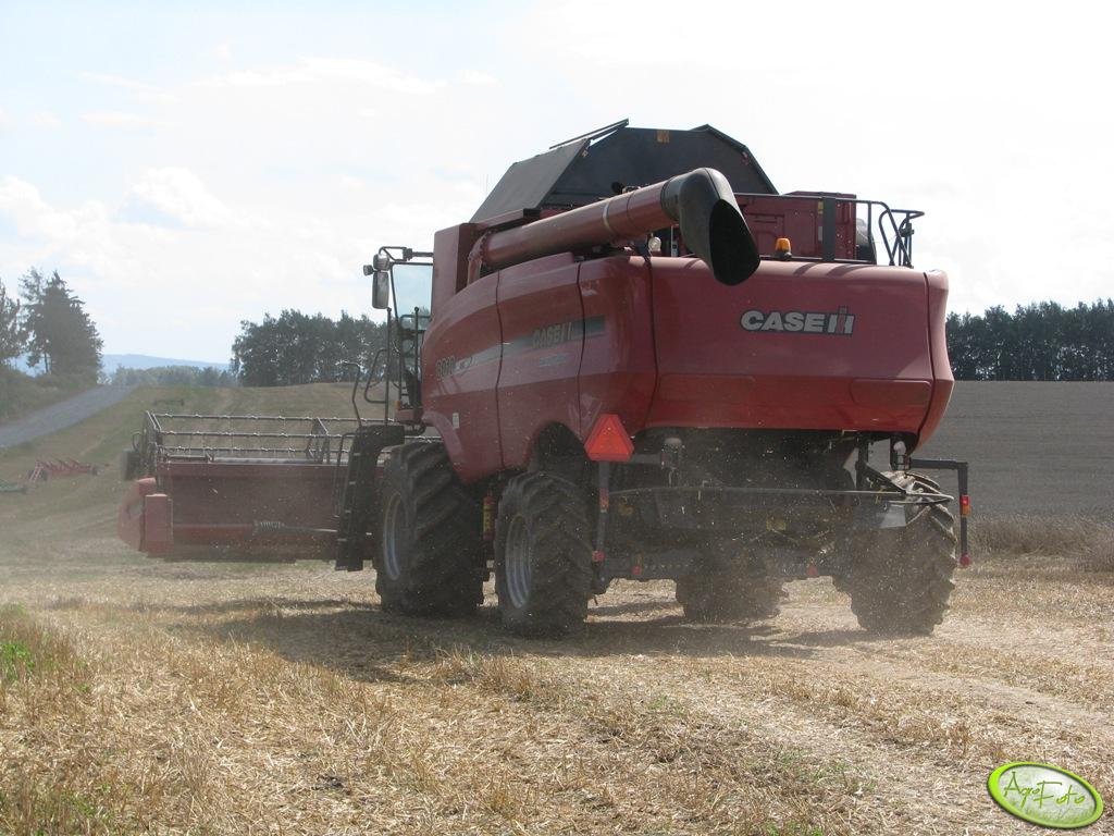 Kombajn Case 8010 - zdjęcie #112794 - Galeria rolnicza agrofoto