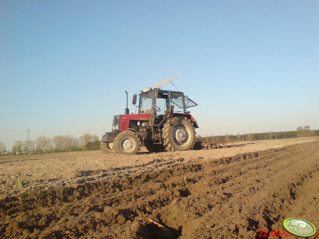Obraz ciągnik Belarus 820 #134479 - Galeria rolnicza agrofoto