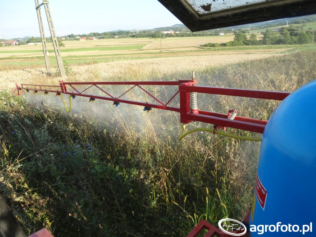 Bobik - Obrazek, fotka, zdjecie, photo #656130 - Galeria rolnicza agrofoto