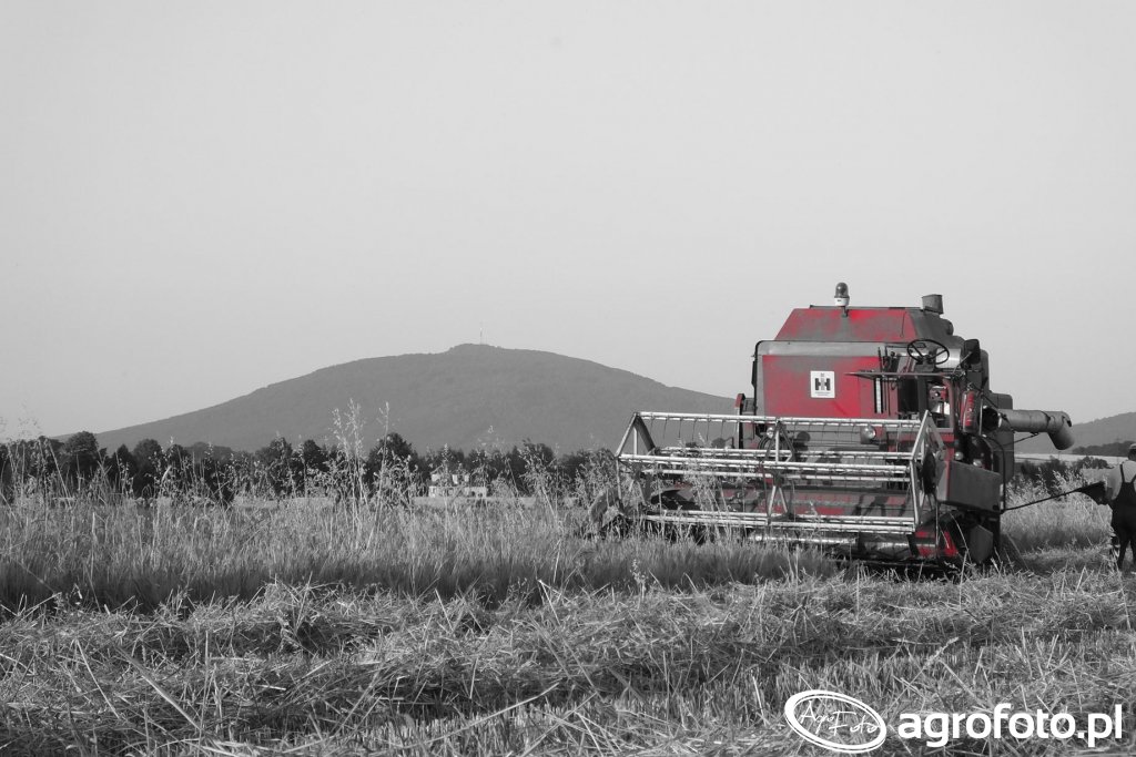 Kombajn International 8-71 - foto #614230 - Galeria rolnicza agrofoto