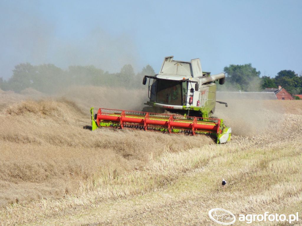Kombajn Class Lexion 760 - foto #593376 - Galeria rolnicza agrofoto