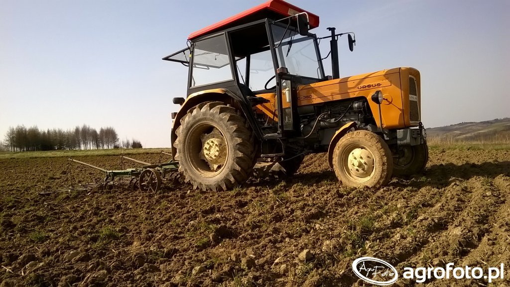Zdjęcie traktor Ursus C-360 #637138 - Galeria rolnicza agrofoto