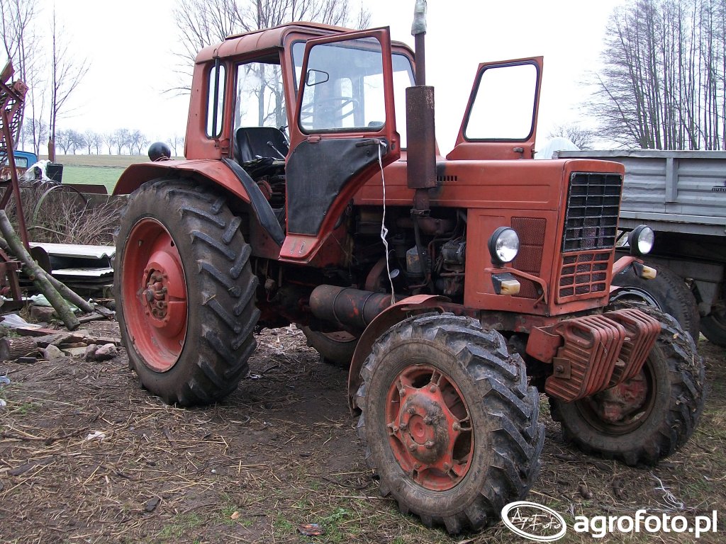 Foto traktor MTZ 82 #616981 - Galeria rolnicza agrofoto