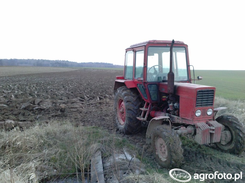 Fotografia traktor MTZ-82 id:634739 - Galeria rolnicza agrofoto