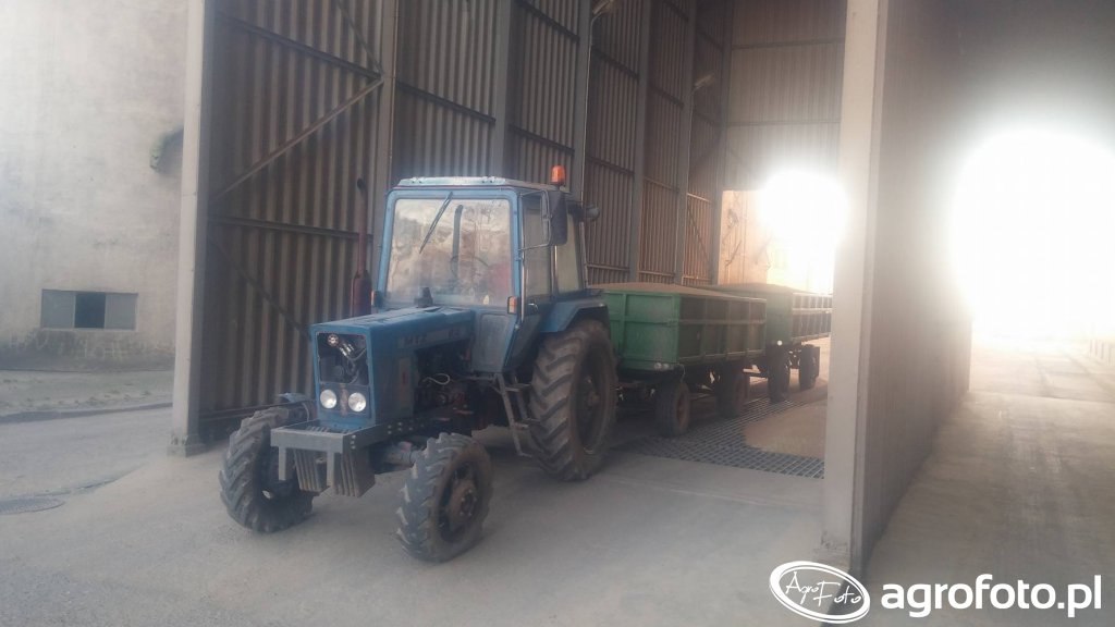 Foto traktor MTZ 82 id:622777 - Galeria rolnicza agrofoto