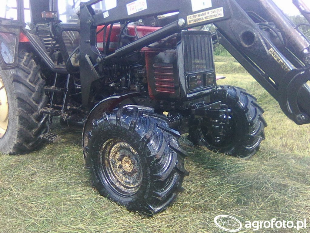 MTZ 82 TS - Obrazek, fotka, zdjecie, photo #701633 - Galeria rolnicza agrofoto