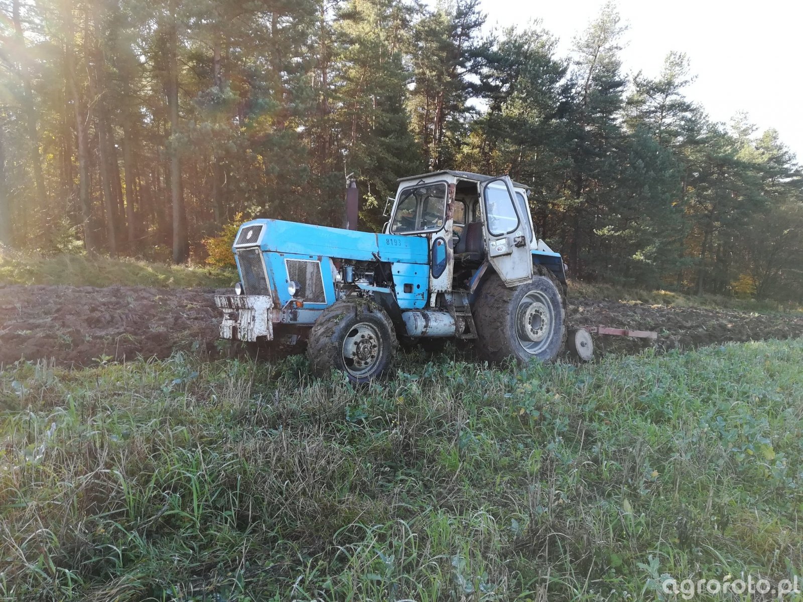 Fotografia traktor Fortschritt zt 303 id:710434 - Galeria rolnicza agrofoto