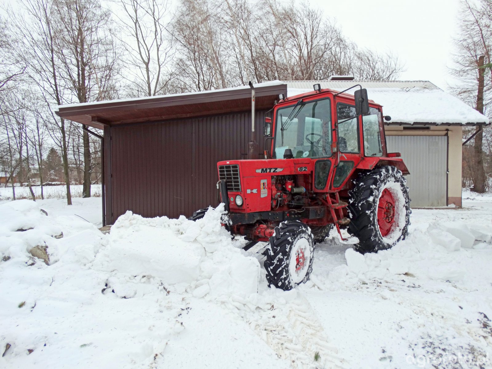 Fotografia traktor Mtz 82 id:714427 - Galeria rolnicza agrofoto
