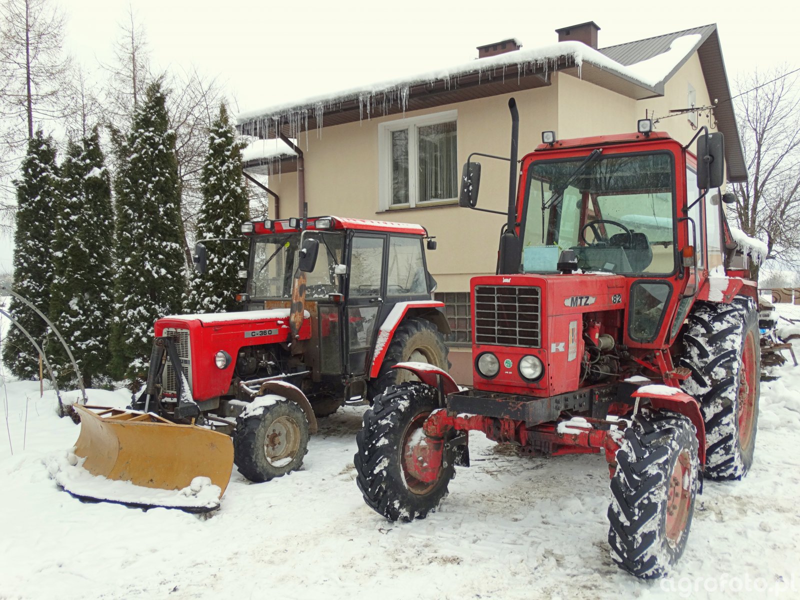 Fotografia traktor Mtz 82 & Ursus C-360 id:719562 - Galeria rolnicza agrofoto