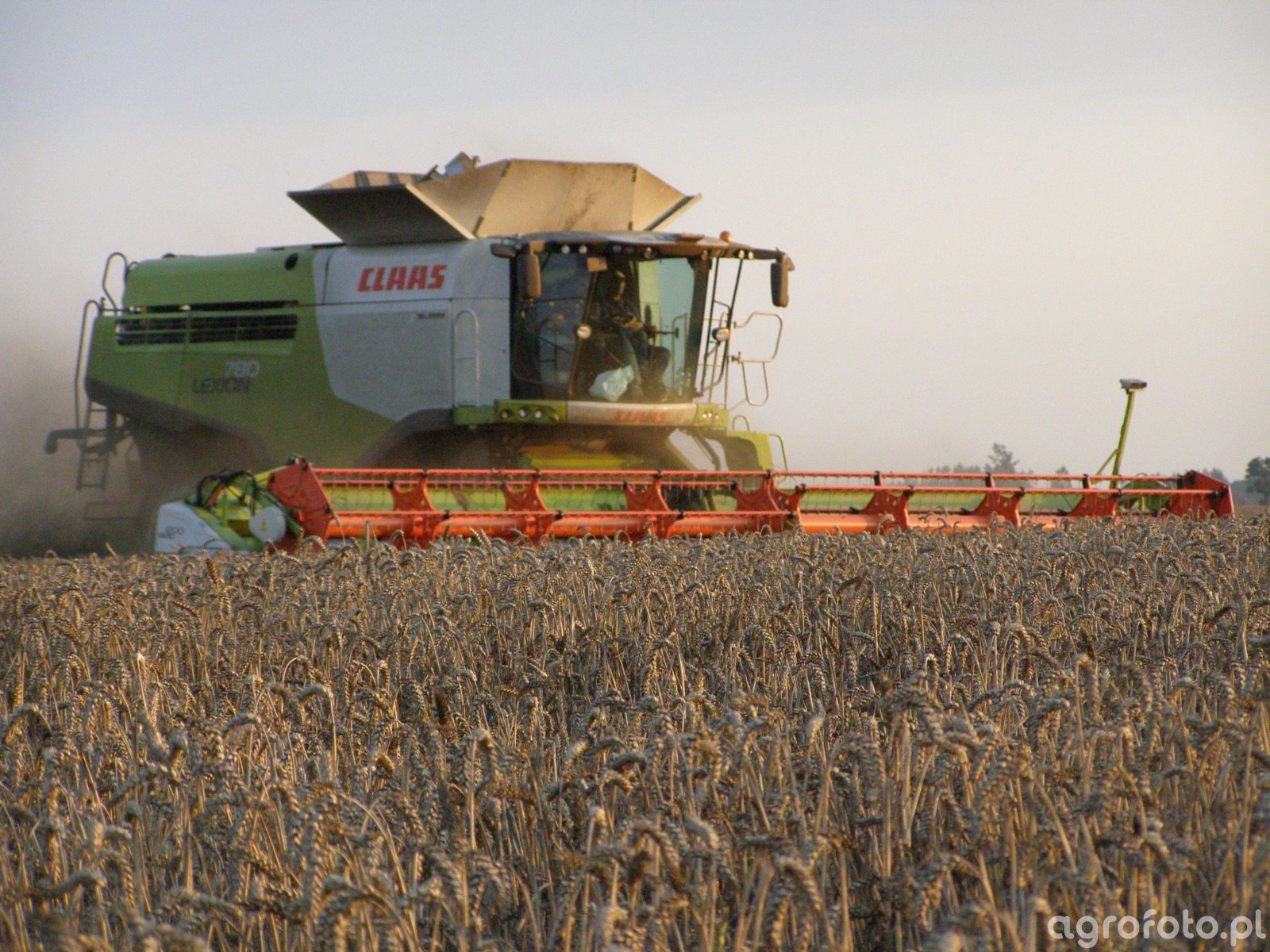 Claas Lexion 780 - Obrazek, fotka, zdjecie, photo #733871 - Galeria ...