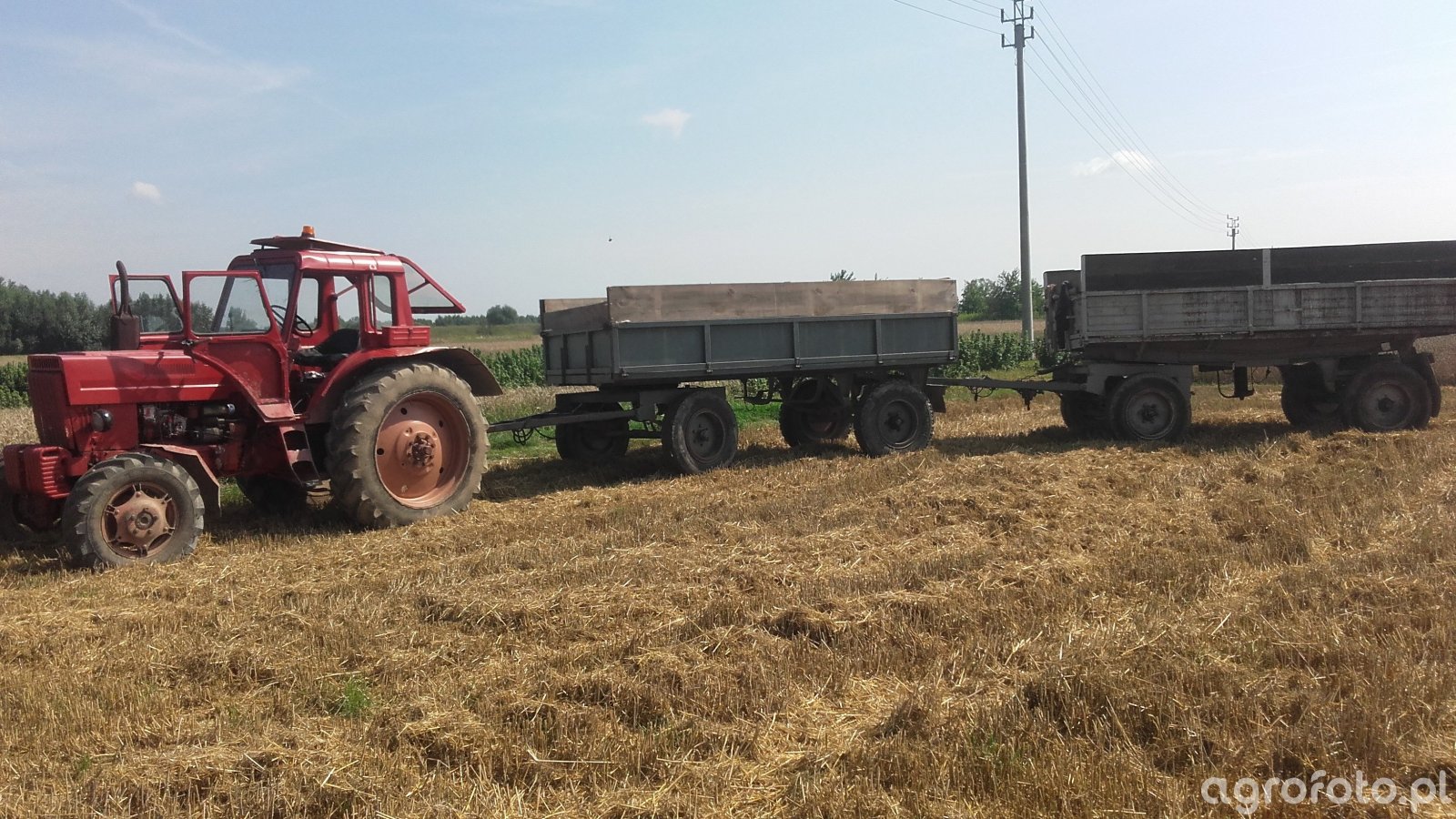 Foto ciągnik mtz 82 #734152 - Galeria rolnicza agrofoto