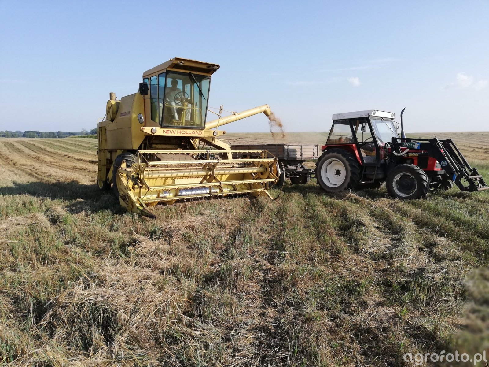Fotografia traktor Zetor 7745 id:734641 - Galeria rolnicza agrofoto