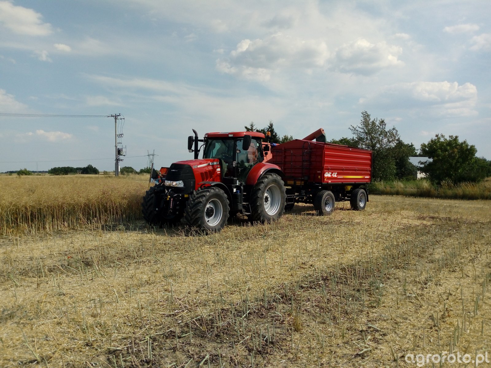 Fotografia traktor Puma 145 #738463 - Galeria rolnicza agrofoto