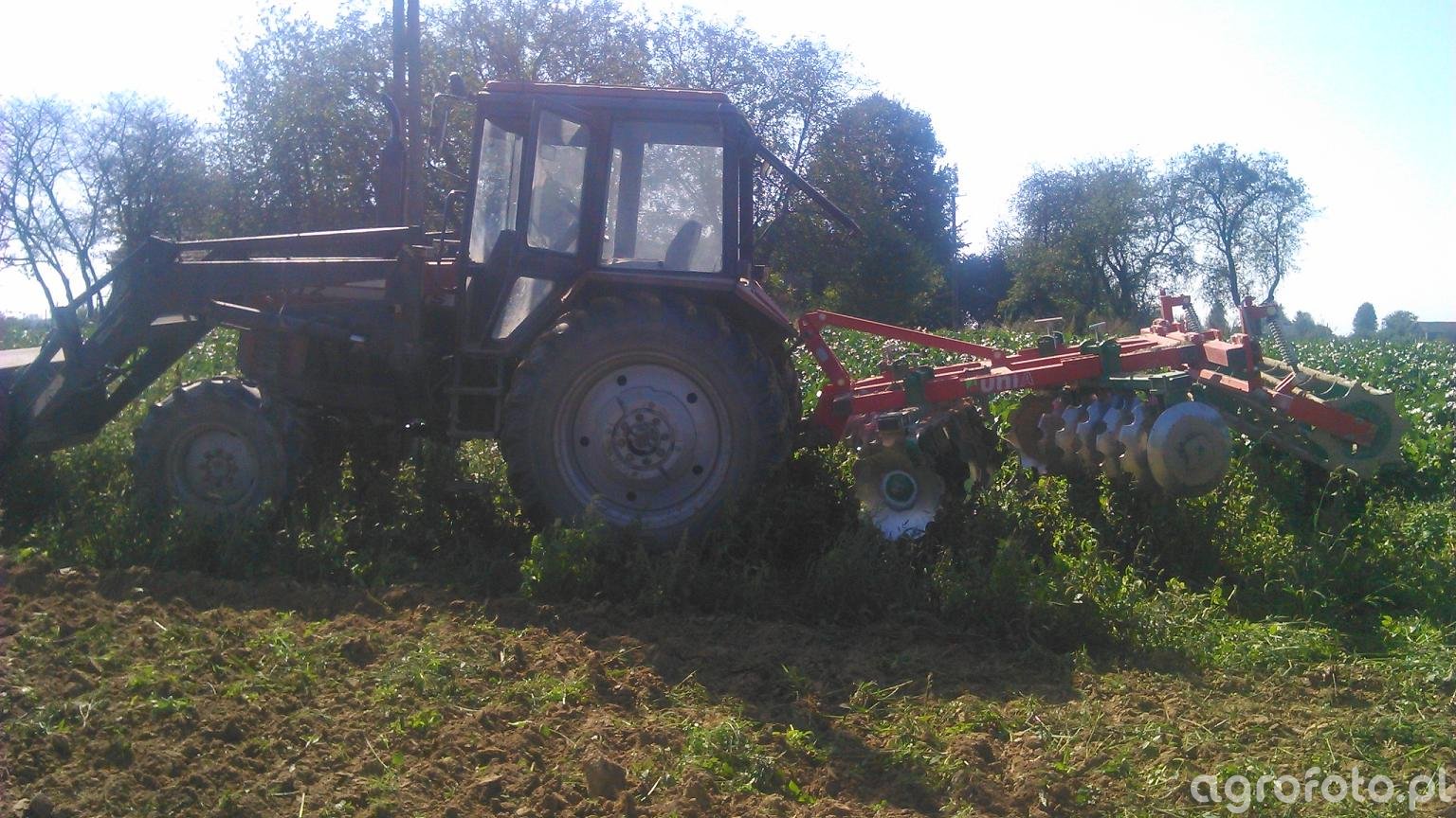 Foto ciagnik MTZ 82 TS + UNIA CUT 2,8 #540225 - Galeria rolnicza agrofoto