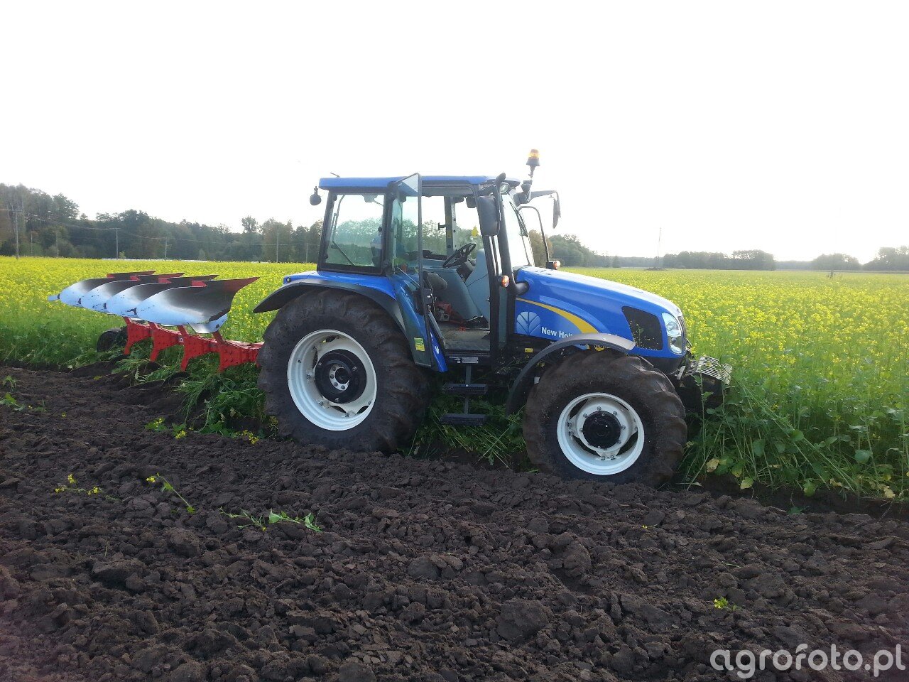 Obraz ciagnik New Holland + vogel noot id:552008 - Galeria rolnicza agrofoto