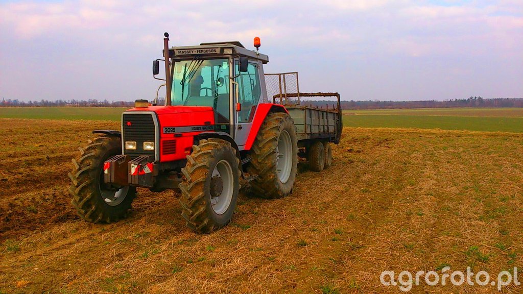 Zdjęcie traktor Massey Ferguson 3095 id:488143 - Galeria rolnicza agrofoto Zdjęcie traktor Massey Ferguson 3095 id:488143 - Galeria rolnicza agrofoto
