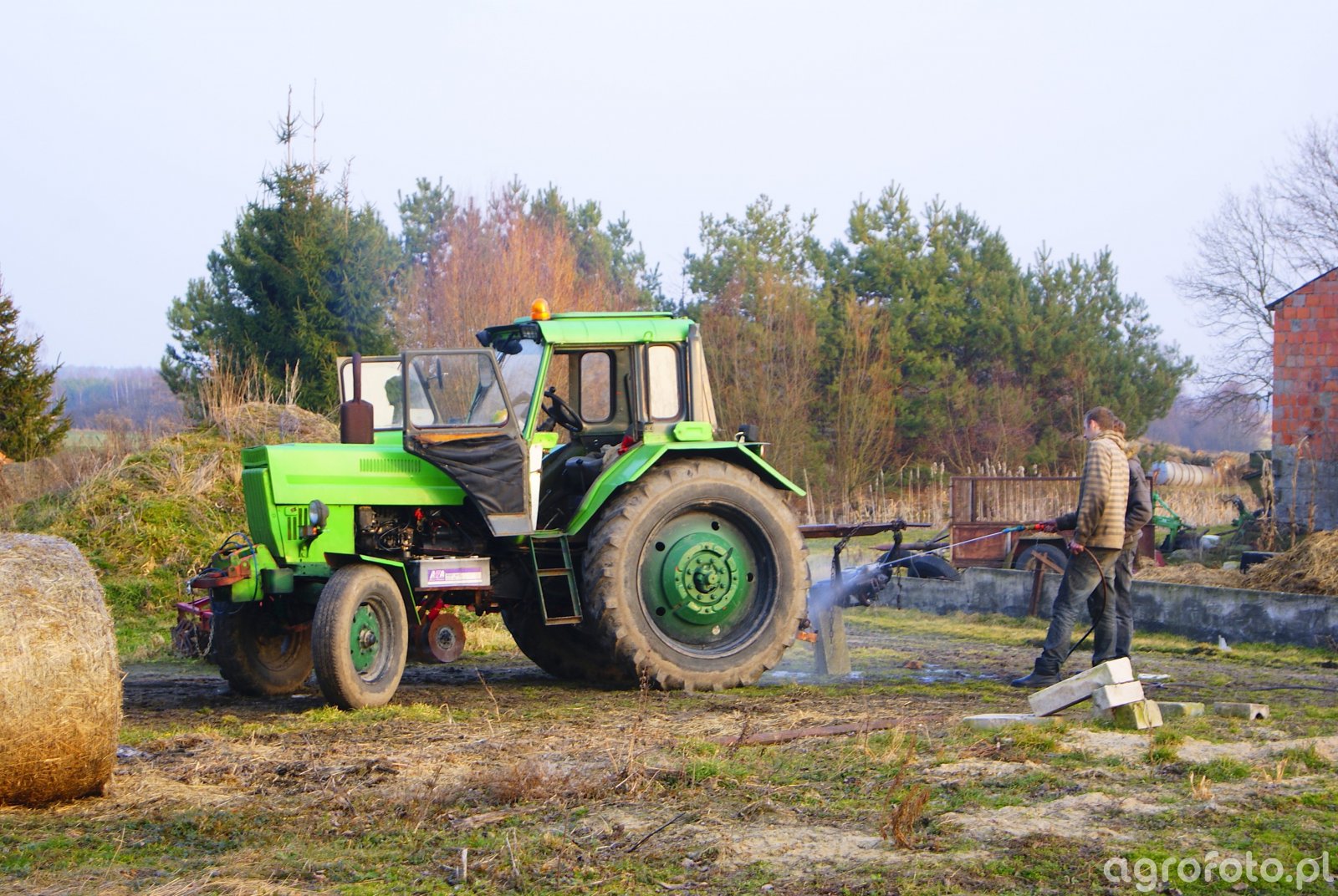 Fotografia ciagnik MTZ 80 id:486636 - Galeria rolnicza agrofoto