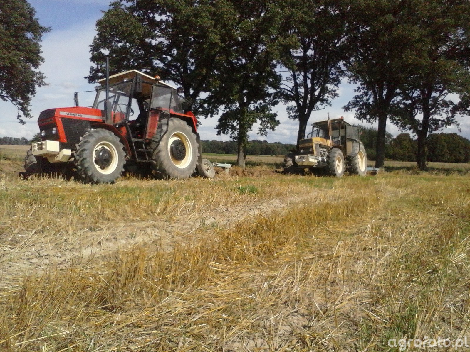Foto ciagnik Ursus 914 & Ursus 1214 id:452569 - Galeria rolnicza agrofoto Foto ciagnik Ursus 914 & Ursus 1214 id:452569 - Galeria rolnicza agrofoto