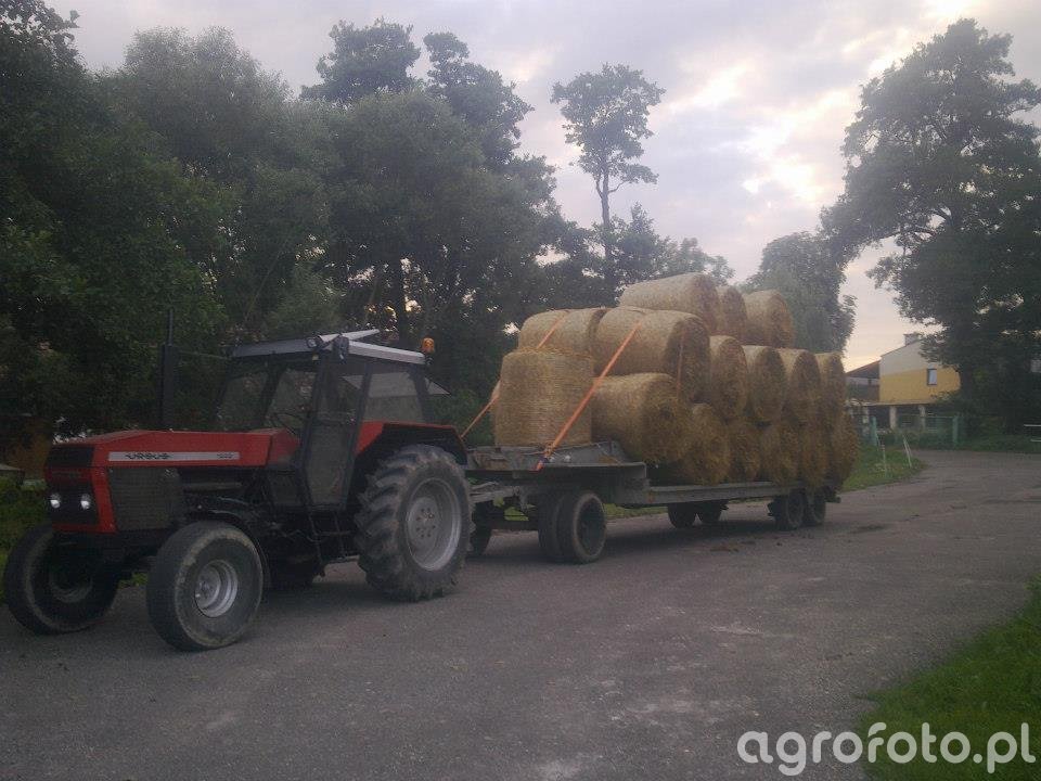 Fotografia traktor Ursus 1222 #548450 - Galeria rolnicza agrofoto Fotografia traktor Ursus 1222 #548450 - Galeria rolnicza agrofoto