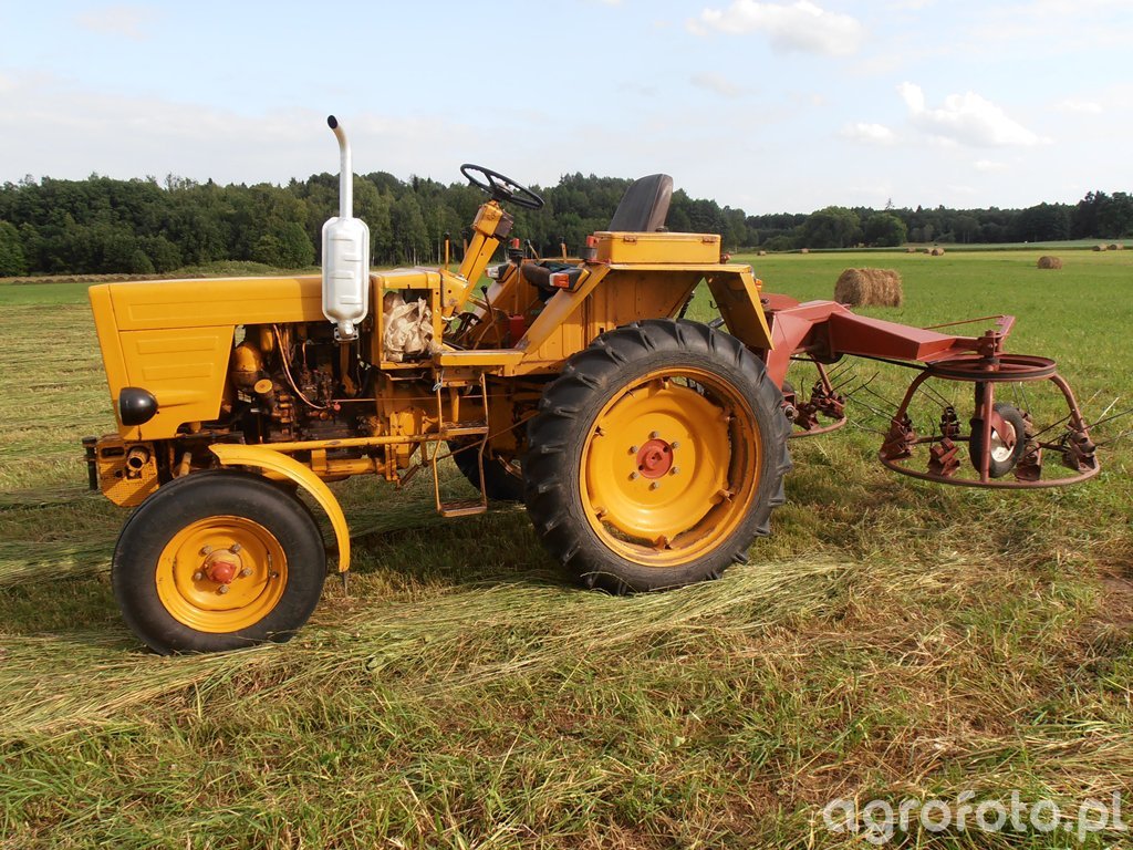 Obraz ciagnik T-25A2 #479576 - Galeria rolnicza agrofoto