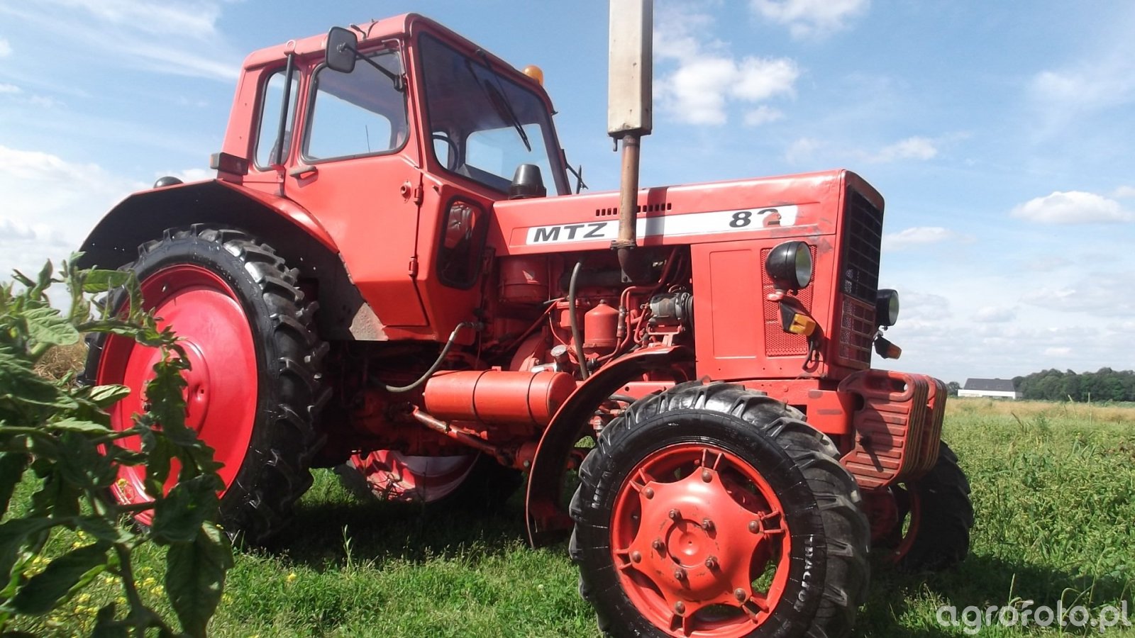 Obraz traktor MTZ 82 id:465288 - Galeria rolnicza agrofoto