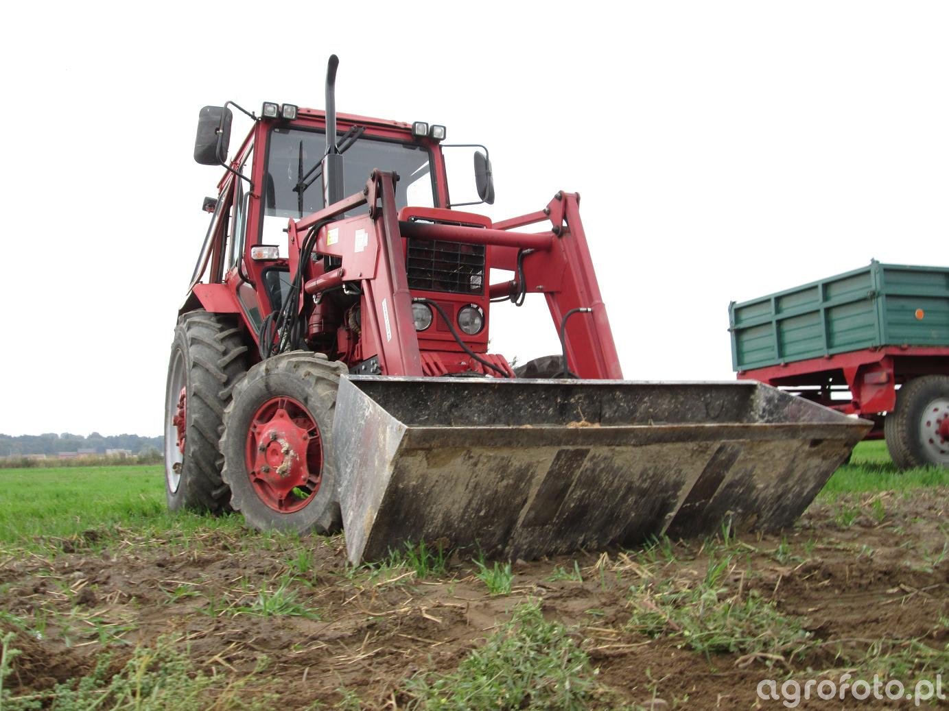 Obraz ciagnik Mtz 82 id:455156 - Galeria rolnicza agrofoto