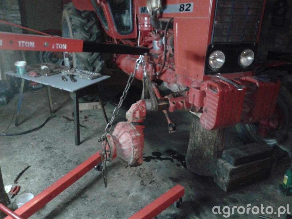 Foto traktor MTZ 82 id:471446 - Galeria rolnicza agrofoto