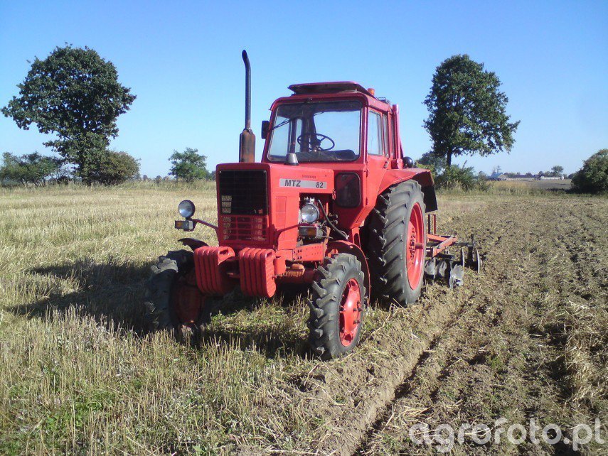 Fotografia ciagnik Mtz 82 + Brona talerzowa id:453481 - Galeria rolnicza agrofoto