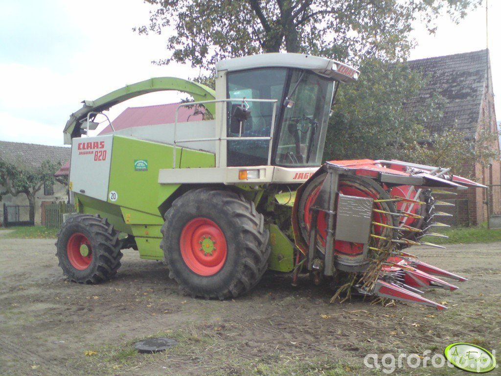 Claas Jaguar 820 - zdjęcie sieczkarni samobieżnej #174959 - Galeria ...