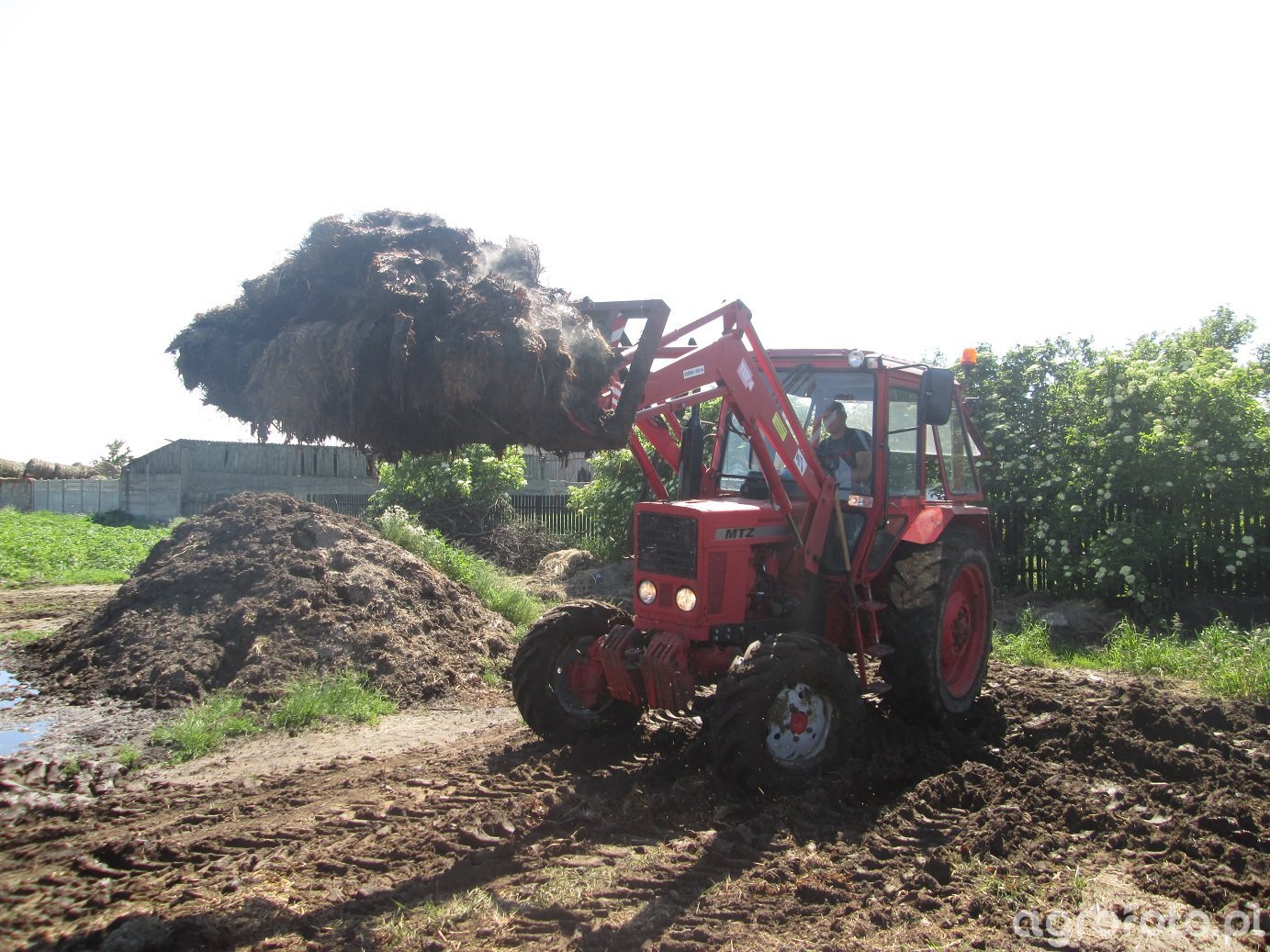 Foto ciagnik MTZ 82 #511588 - Galeria rolnicza agrofoto