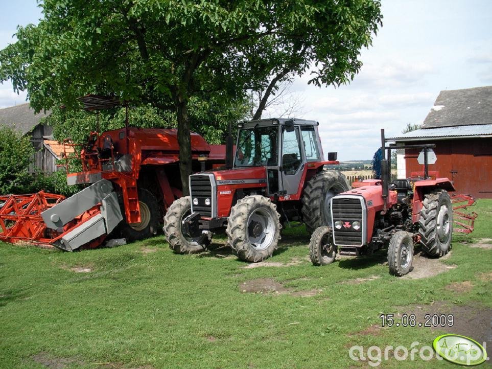 Foto traktor MF 699, MF 135 i Fahr M900 #164877 - Galeria rolnicza agrofoto