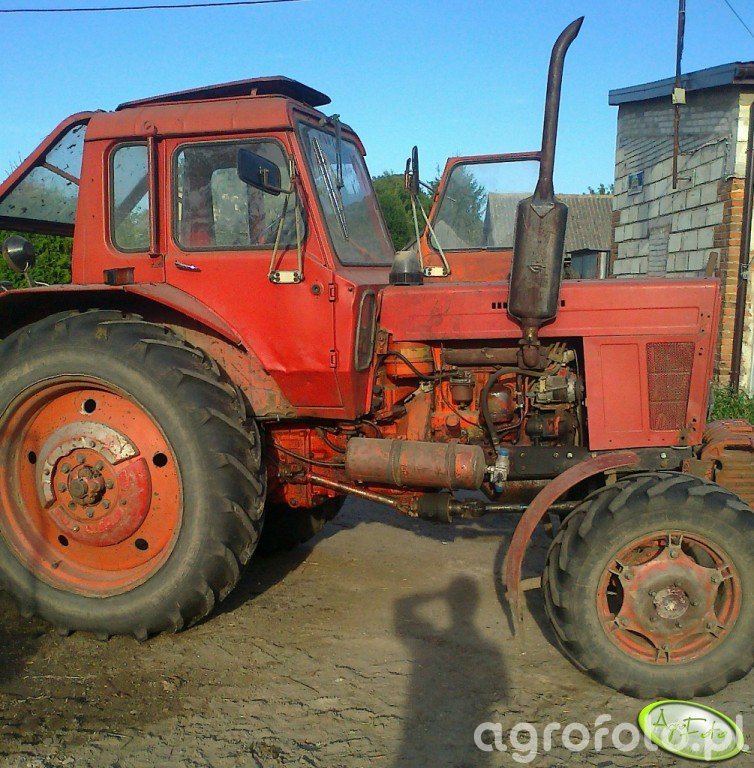 Fotografia traktor Mtz 82 id:383958 - Galeria rolnicza agrofoto
