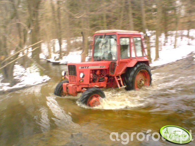 Zdjęcie ciagnik MTZ 82 id:264343 - Galeria rolnicza agrofoto