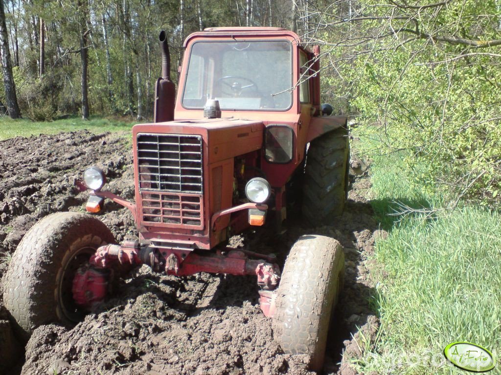 Foto ciagnik MTZ 82 #285959 - Galeria rolnicza agrofoto