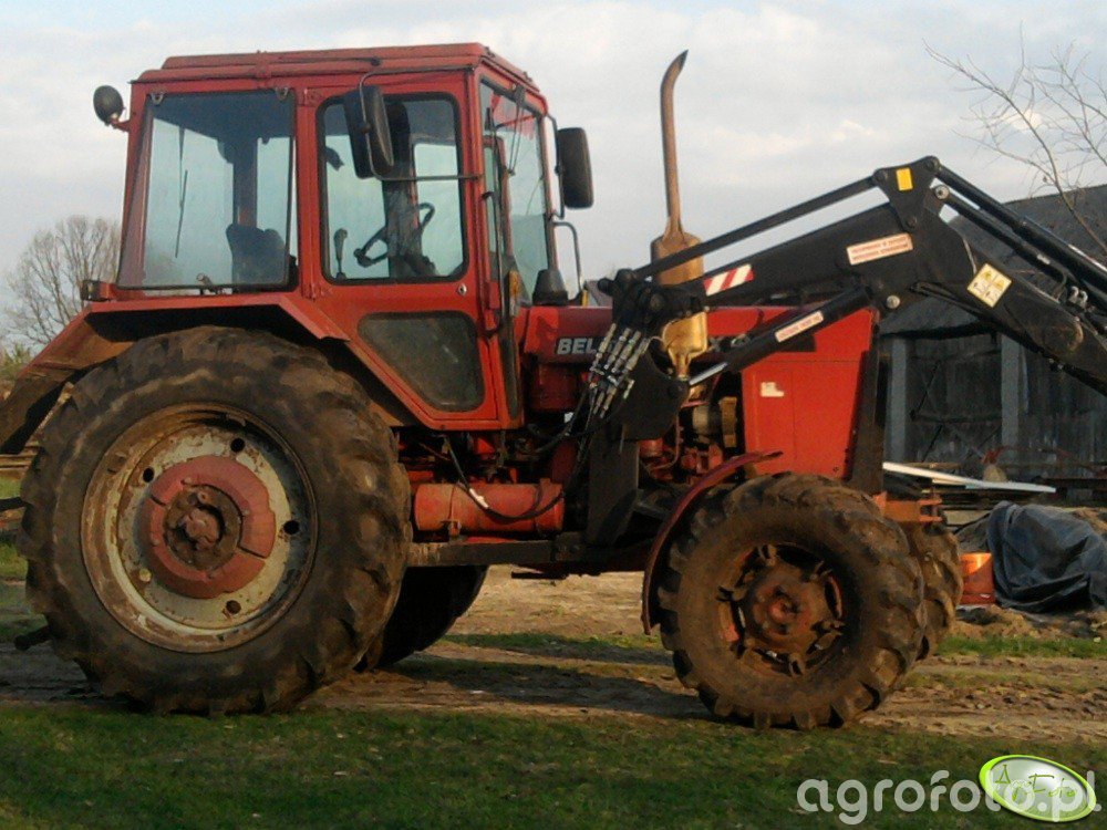 Fotografia traktor MTZ-82 id:360043 - Galeria rolnicza agrofoto