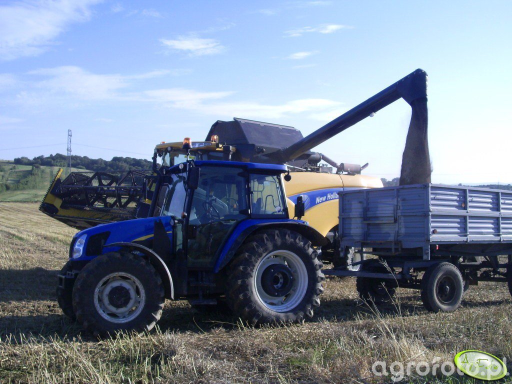 Fotografia ciagnik New Holland T5050 & D55 id:229059 - Galeria rolnicza agrofoto