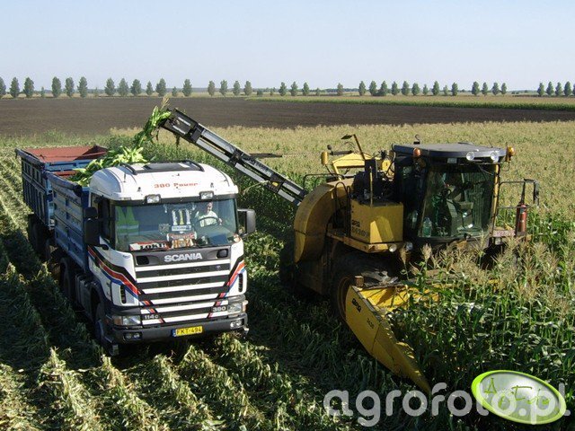 Kombajn Oxbo 8430 Xp Scania Zdjęcie 193621 Galeria Rolnicza Agrofoto