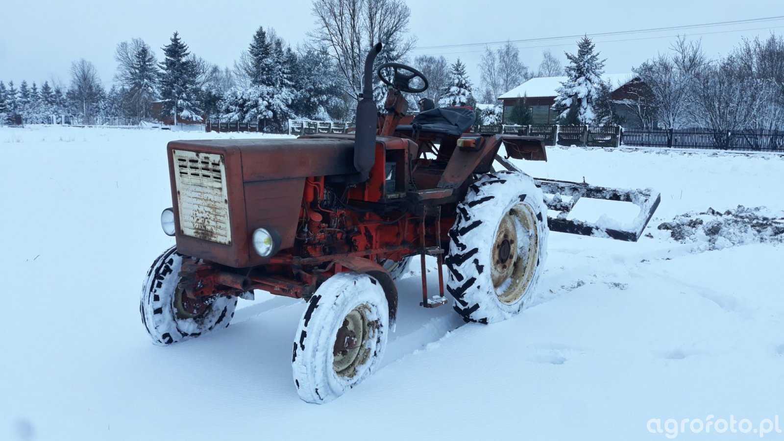 Obraz traktor T-25A2 id:746534 - Galeria rolnicza agrofoto