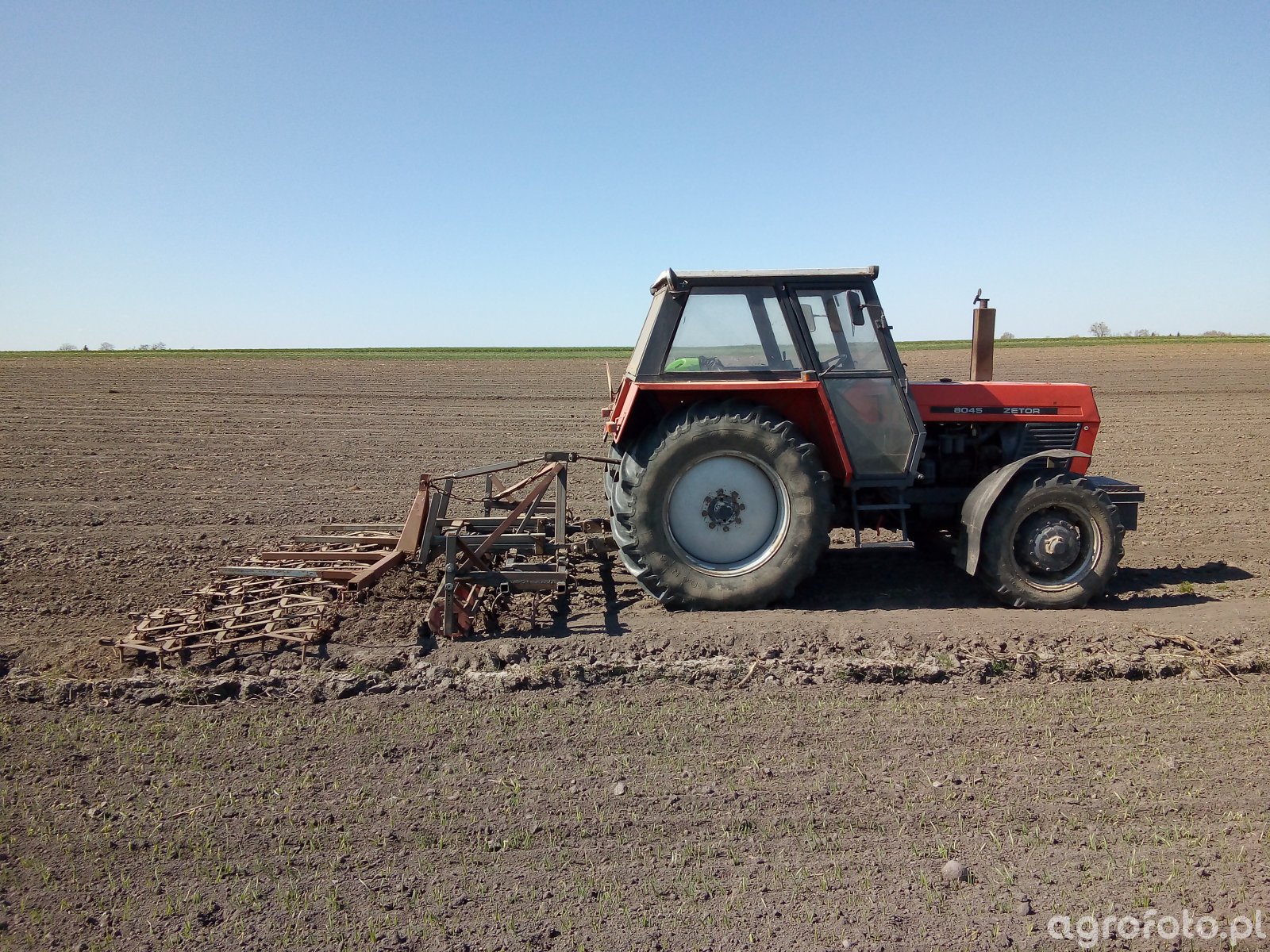 Zdjęcie traktor Zetor 8045 id:751971 - Galeria rolnicza agrofoto