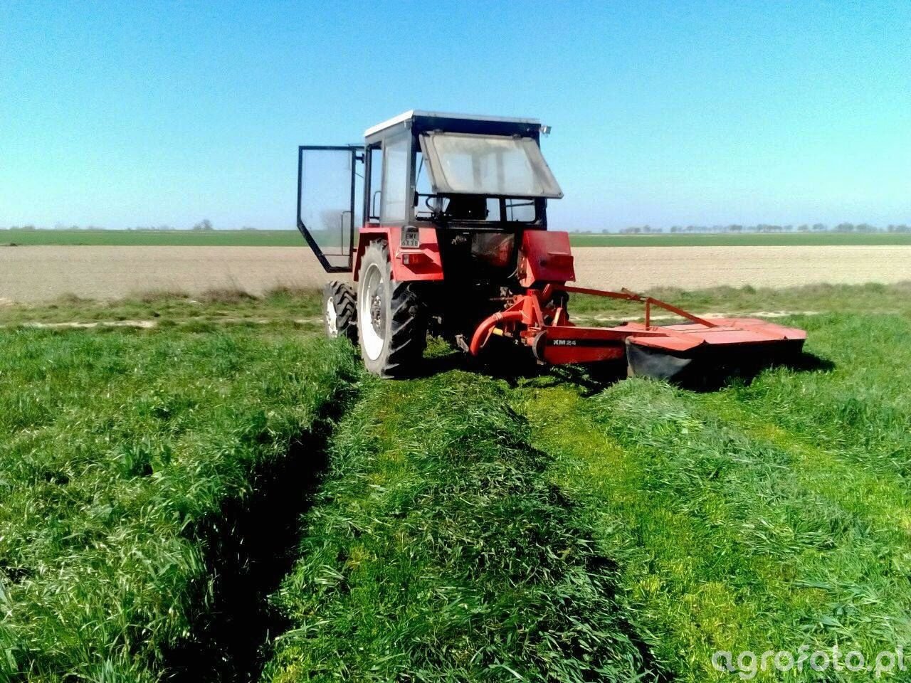Fotografia traktor Mtz 82 id:776172 - Galeria rolnicza agrofoto