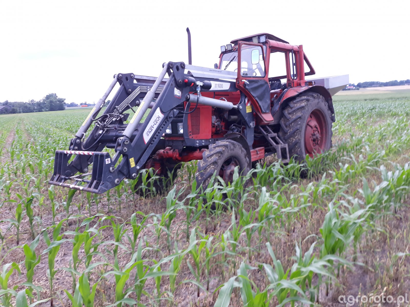 Zdjęcie ciągnik Mtz 82, z rozsiewaczem langren #782554 - Galeria ...