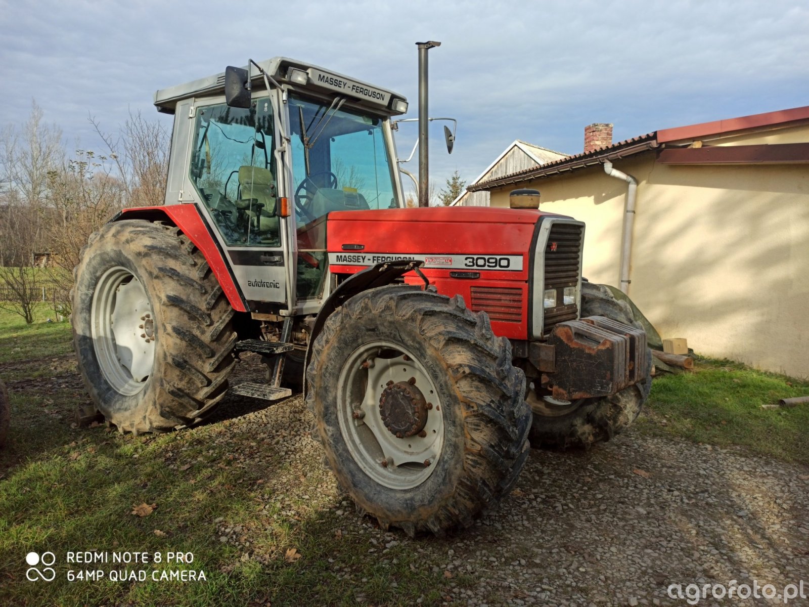 Foto Traktor MF 3090 790941 Galeria Rolnicza Agrofoto