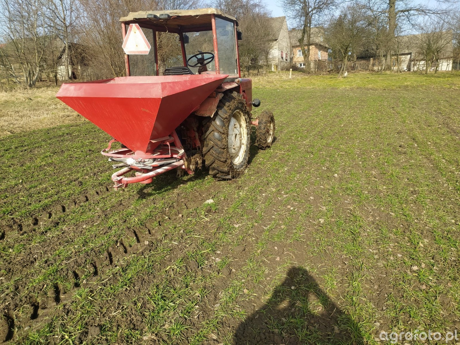 Delawar - zdjęcie, fotka, foto numer: 795025 - Galeria rolnicza agrofoto
