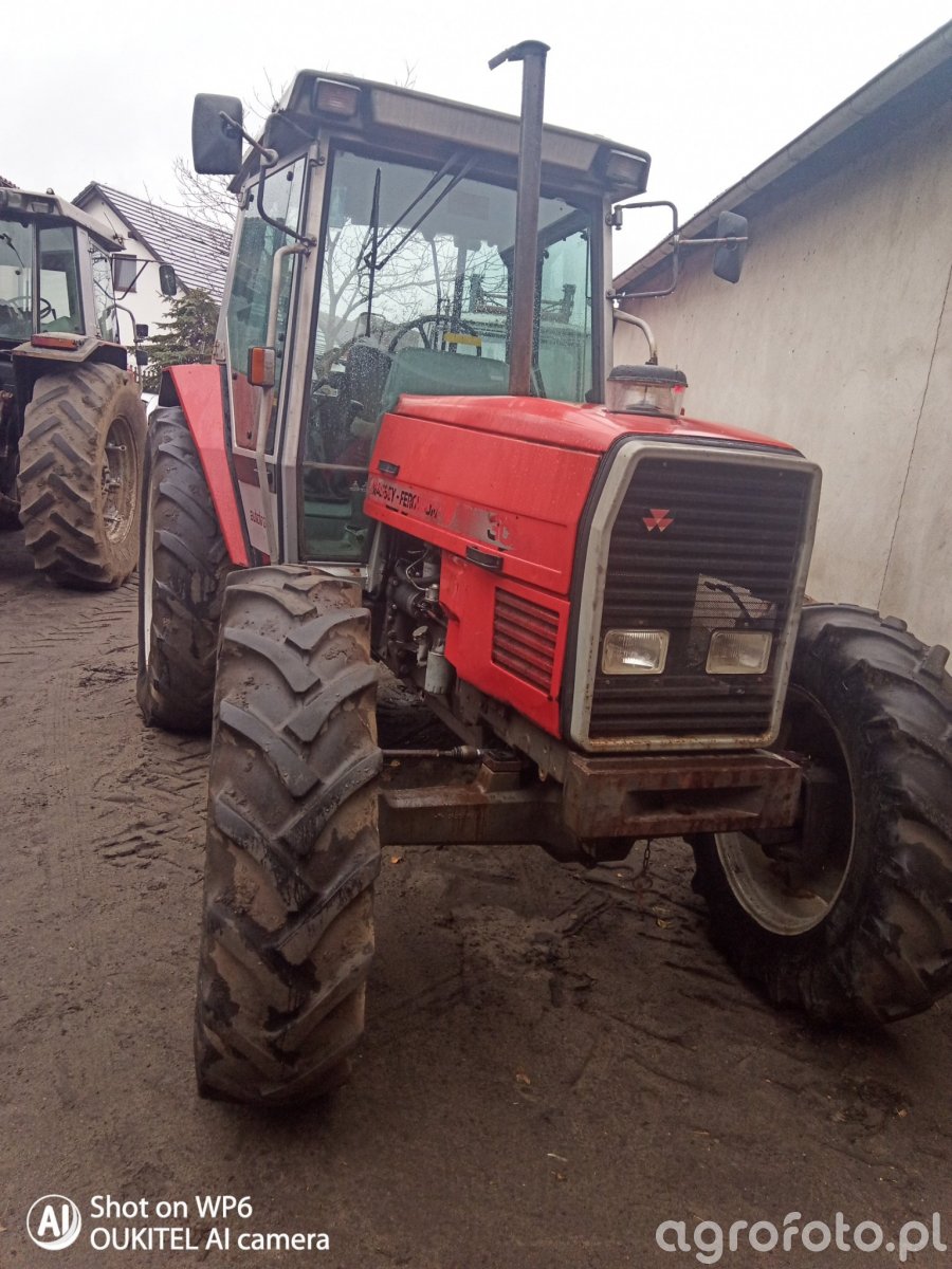 Obraz Ci gnik MF 3095 796391 Galeria Rolnicza Agrofoto