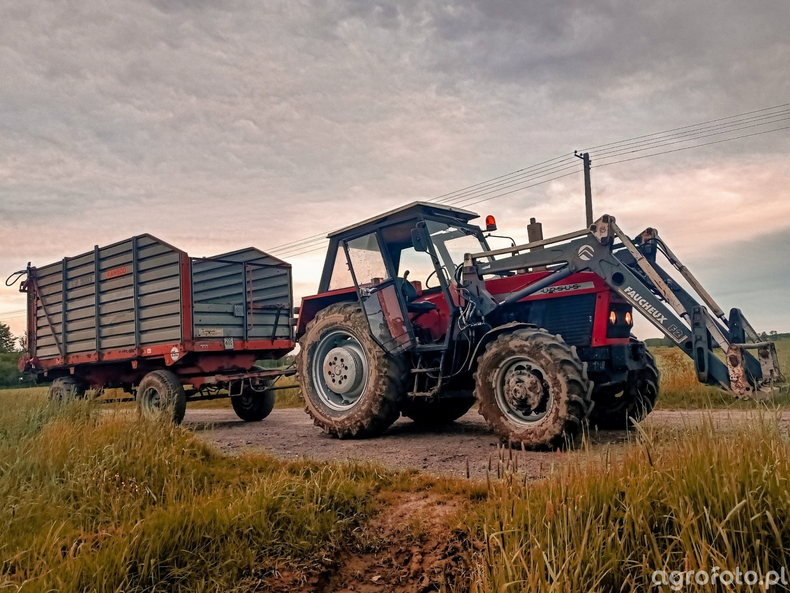 Zdjęcie ciągnik Ursus 914 #800796 - Galeria rolnicza agrofoto