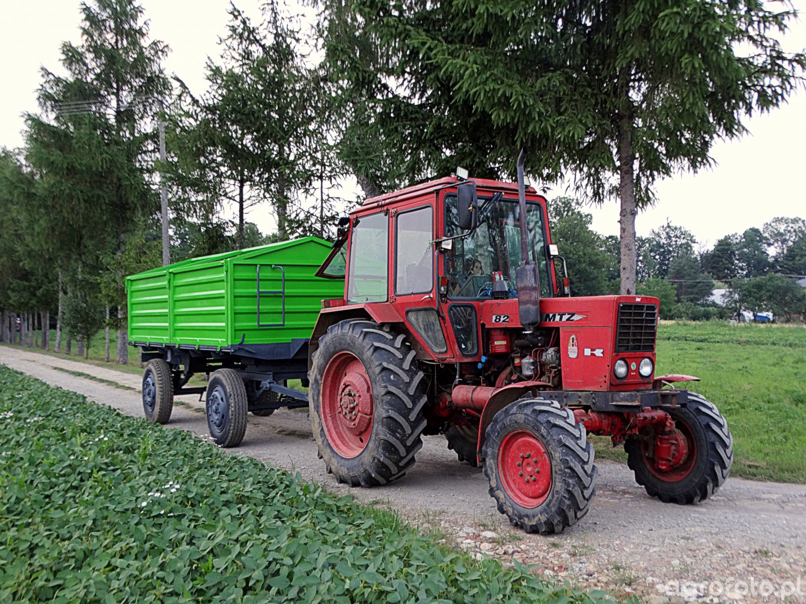 Fotografia traktor Mtz 82 & Przyczepa dwuosiowa id:803569 - Galeria rolnicza agrofoto