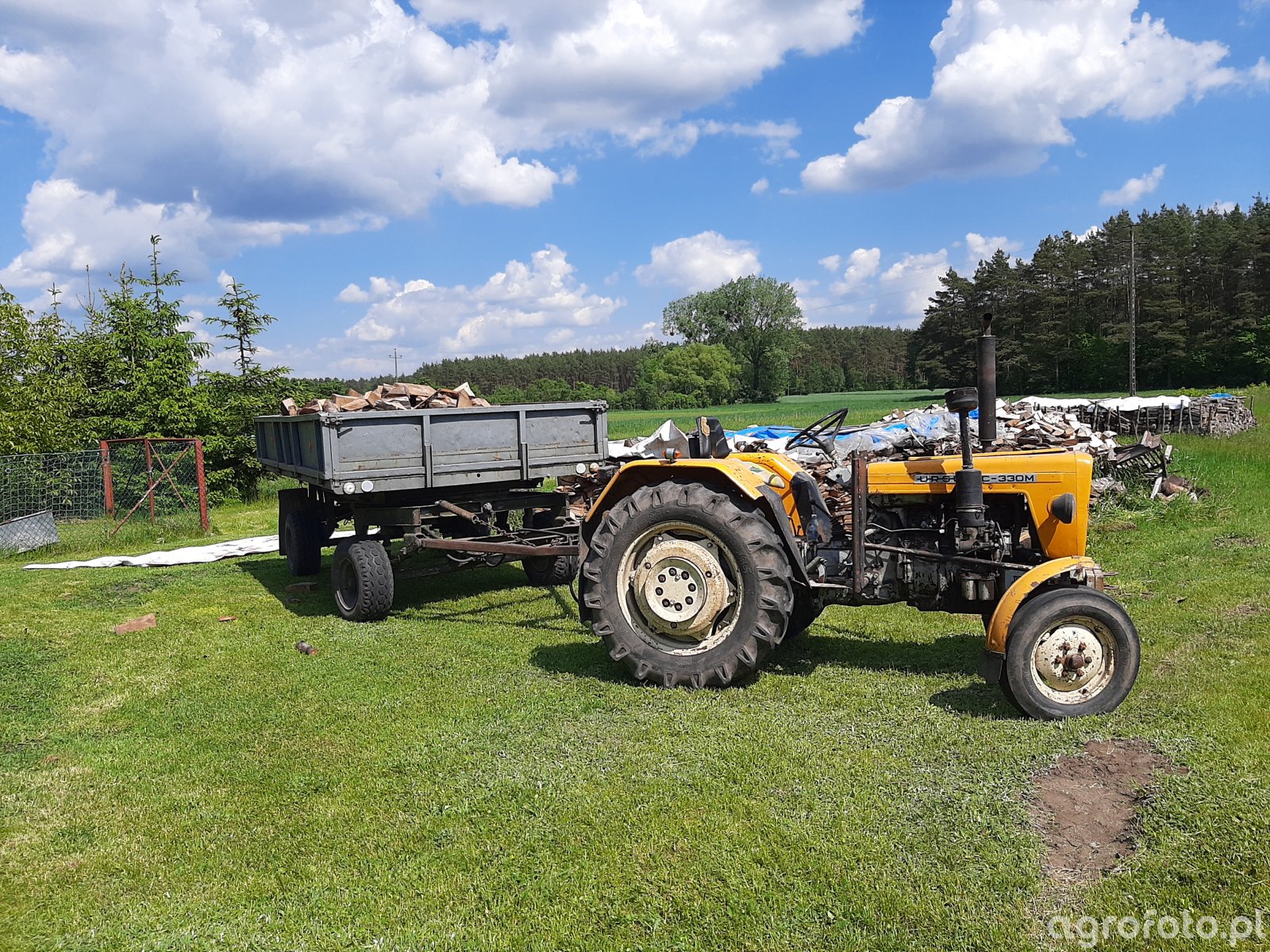 Zdjęcie traktor Ursus C-330M #807177 - Galeria rolnicza agrofoto