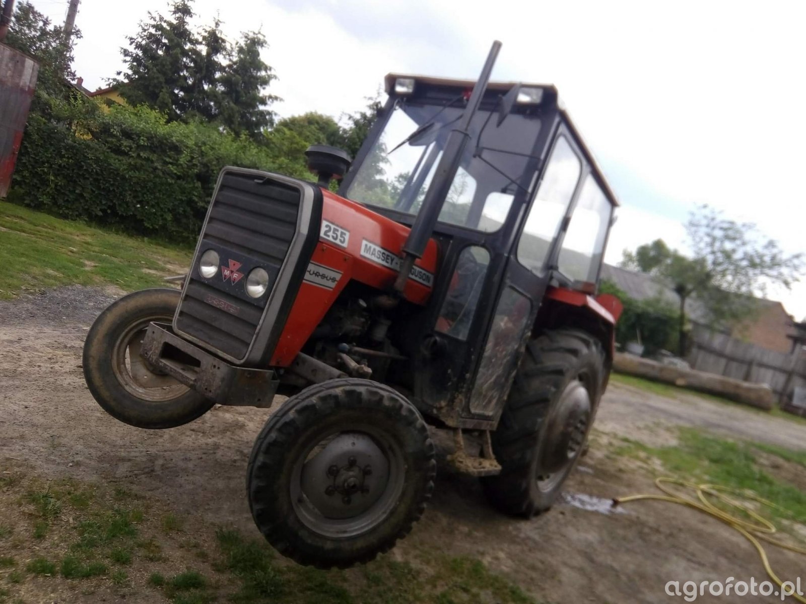 Foto traktor MF255 id:809524 - Galeria rolnicza agrofoto