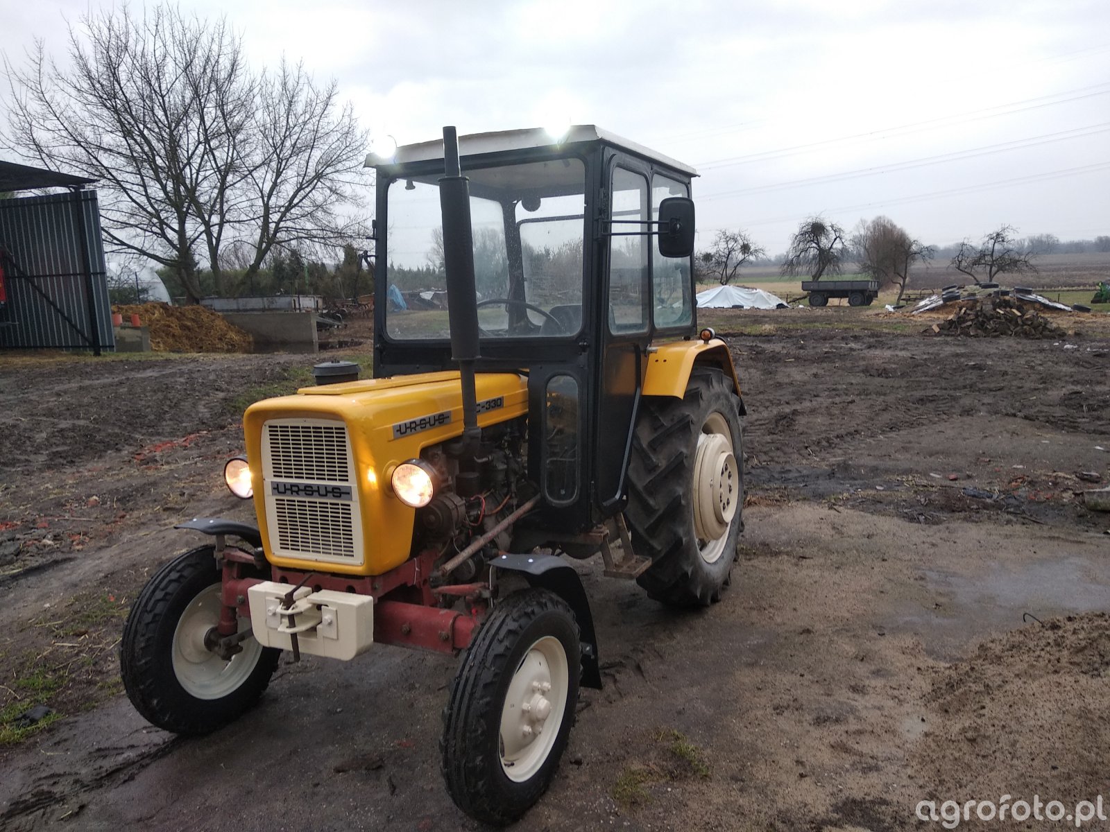 Obraz traktor Ursus C-330M #811406 - Galeria rolnicza agrofoto