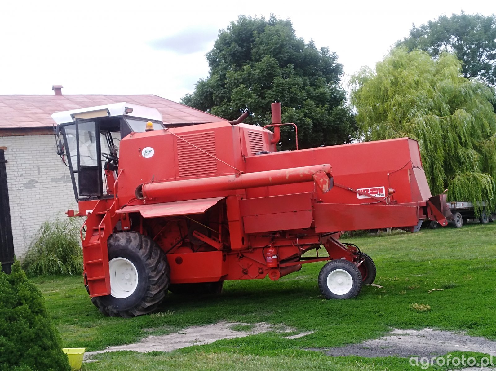 Bizon - Obrazek, fotka, zdjecie, photo #817638 - Galeria rolnicza agrofoto